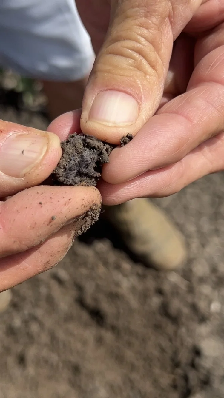 The Talent and Storytelling Platform for Agriculture